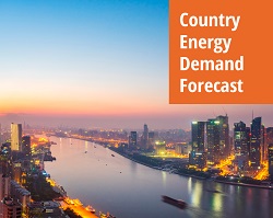 국가 에너지 수요 예측 | Enerdata